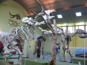 Museo de Paleontologia y Arqueología de Estanzuela - Guatemala GT