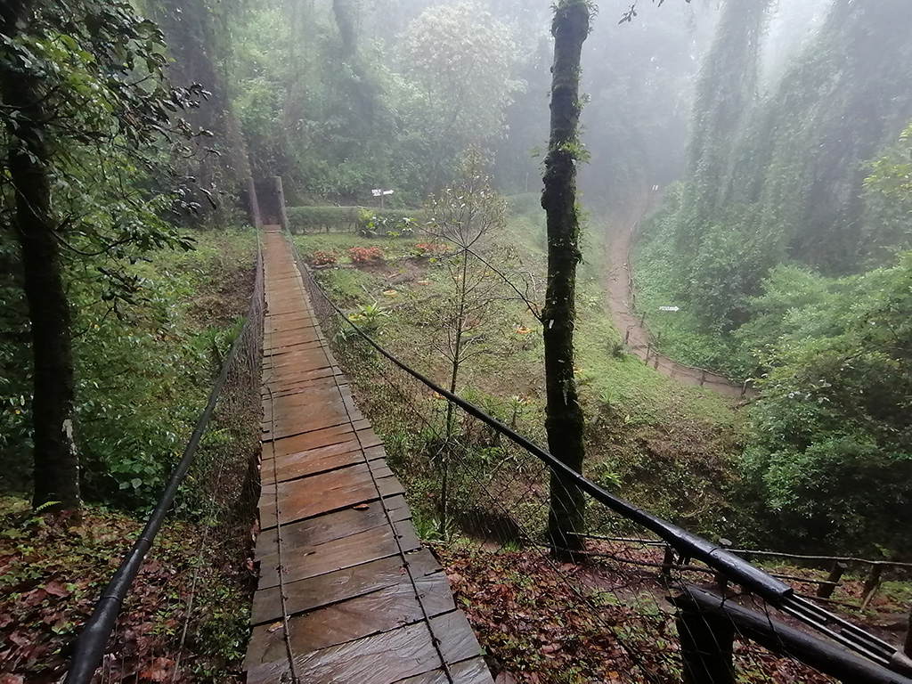 Parque Ecológico Municipal Senderos de Alux - Guatemala GT